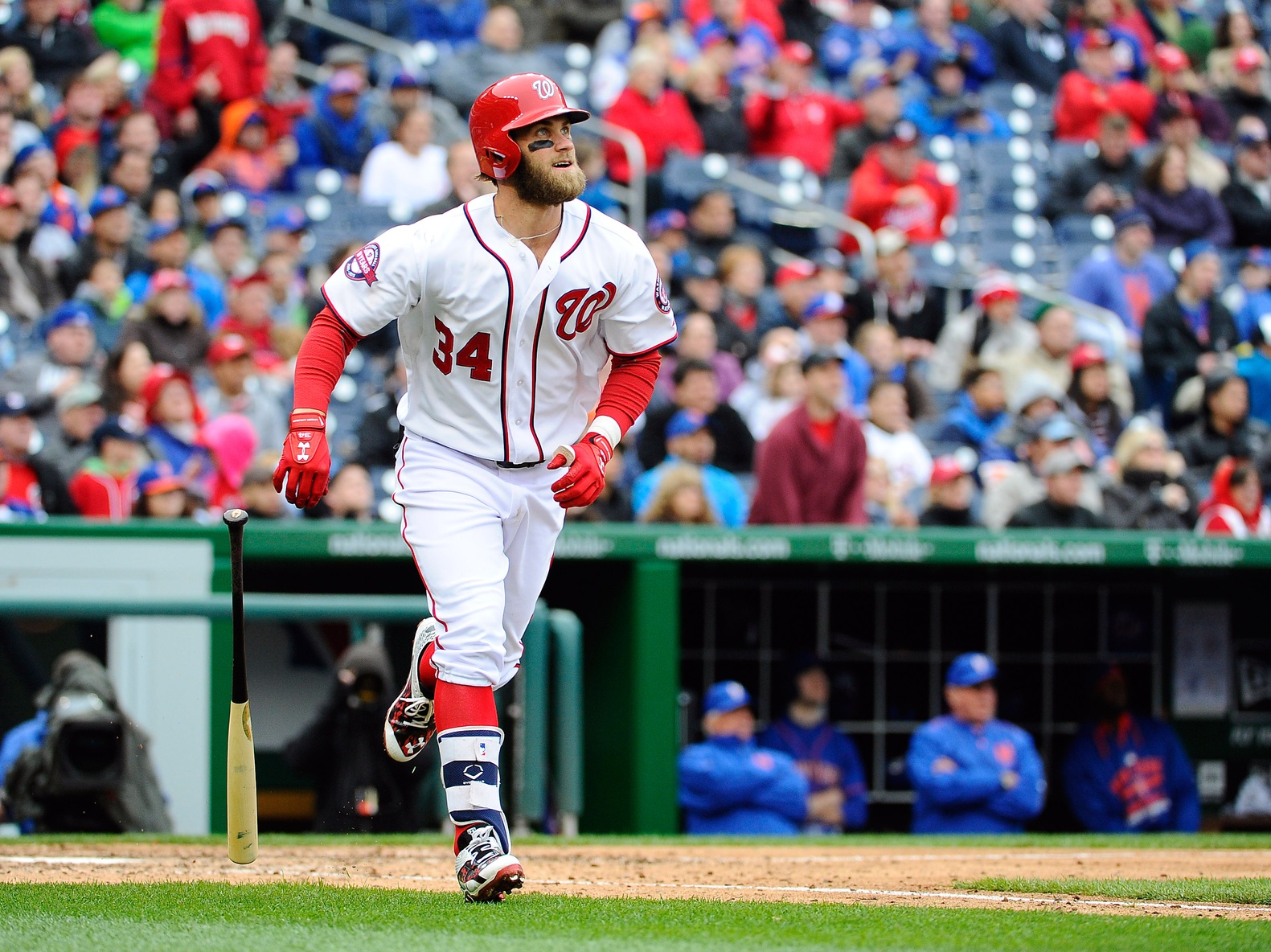 FACTS/FLUKES: Harper, Murphy, Pena, Phelps, Lohse