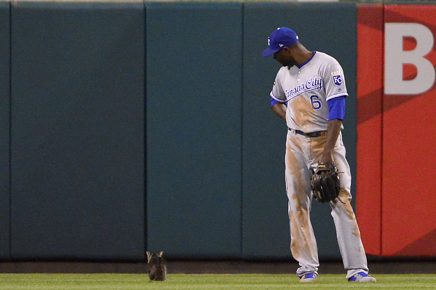 FACTS/FLUKES: Cain, Bundy, Buxton, E. Rodriguez, Joyce